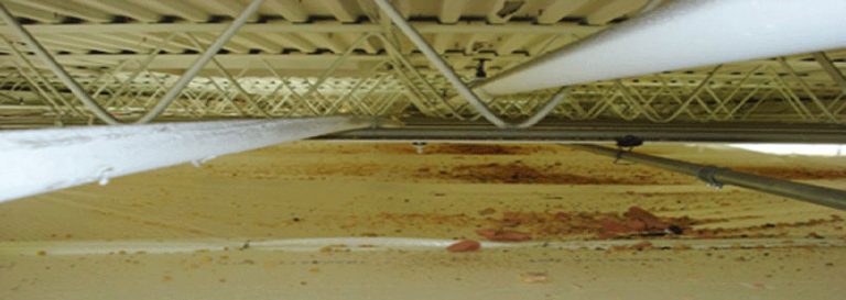 High Structure Cleaning & Dusting Service - CLEANWRAP